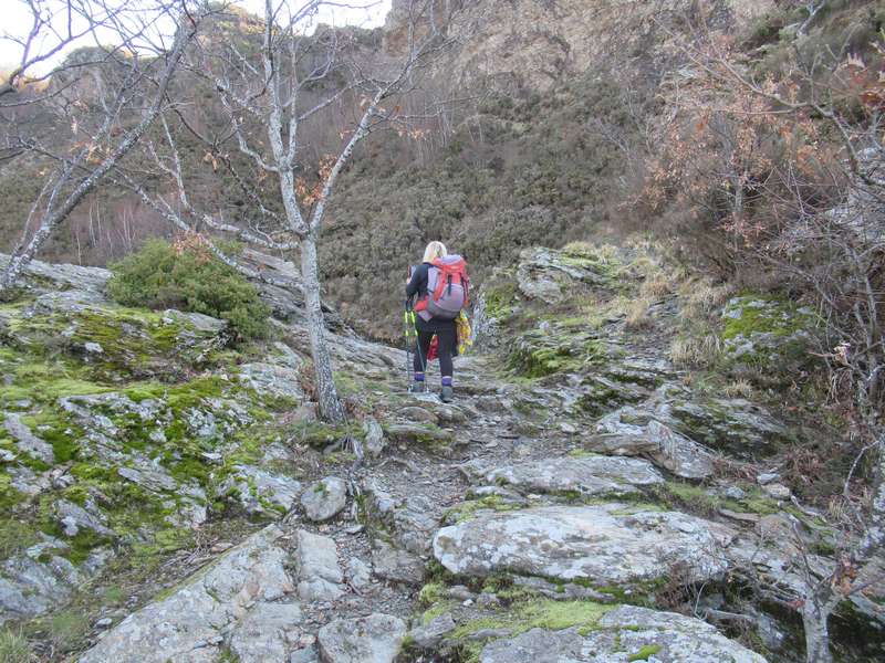 (LU-Stazzema) INIZIO STRADA PASSO CROCE-SENT.10 (626 m)-LOCALITA ...