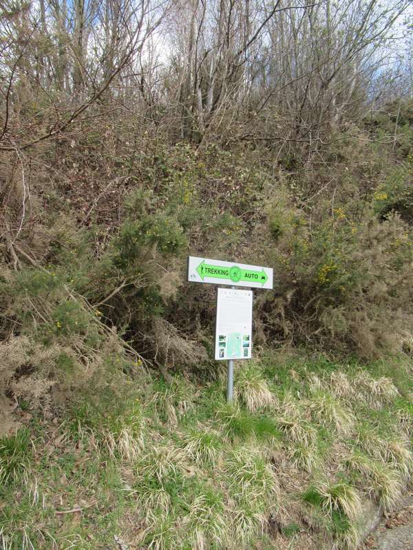 (LU-Stazzema) INIZIO STRADA PASSO CROCE-SENT.10 (626 m)-LOCALITA ...