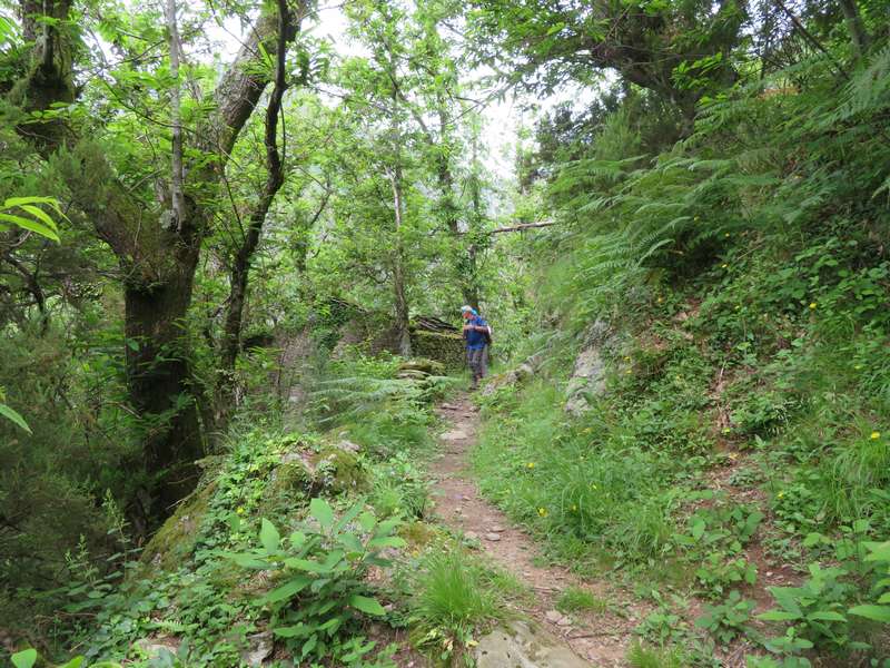 (LU-Seravezza) BASATI–PONTE SUL CANALE DEL GIARDINO (434 m)–MASSO DI ...