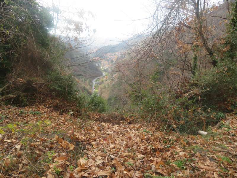 (MS-Montignoso) BIVIO PER VIETINA - LIZZA DEL TASCIO - PASSO DEL ...